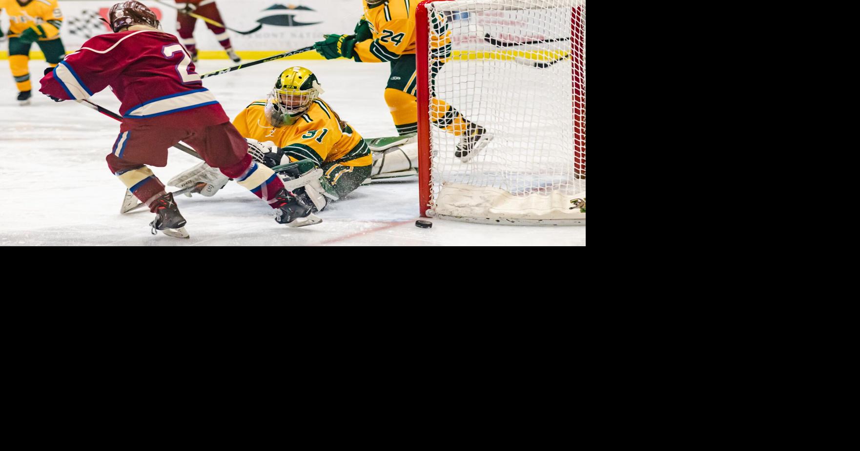 Comet Hockey makes a return for the 2022-23 season | Sports ...