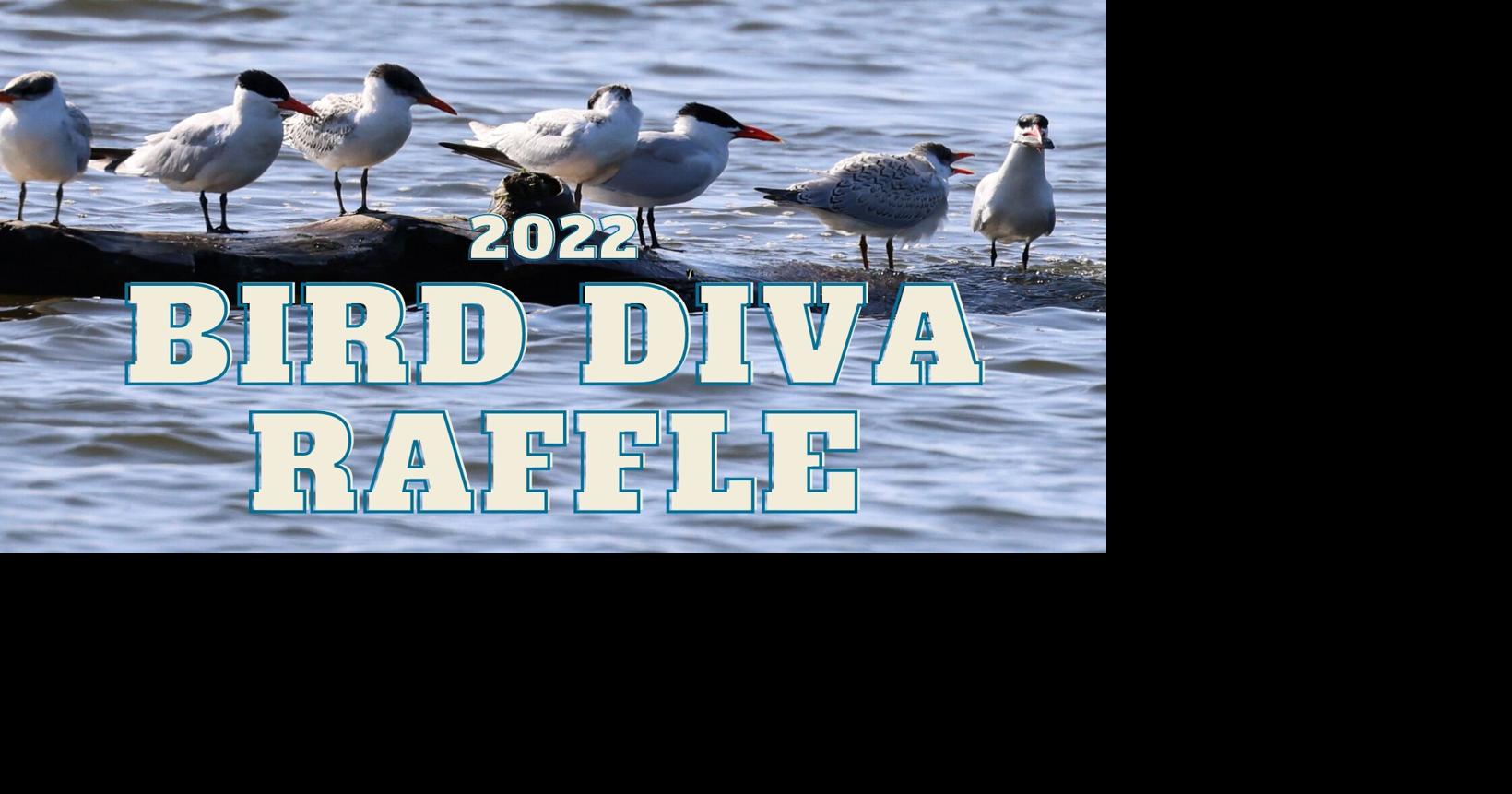 Friends of Northern Lake Champlain to host bird watching day and raffle ...