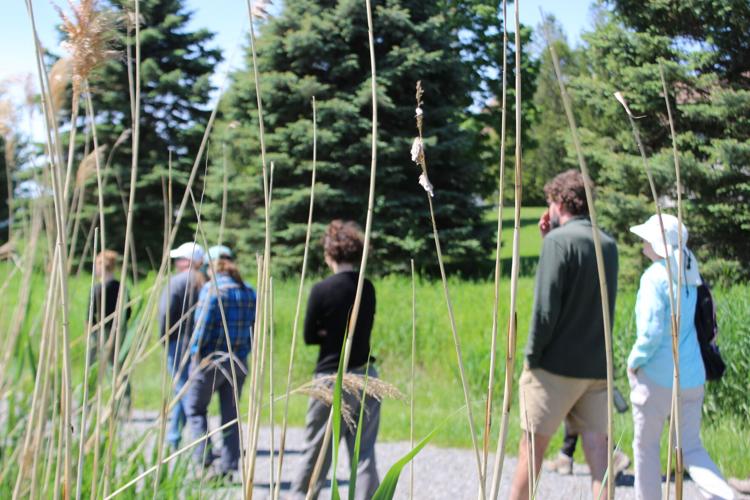 Franklin County Natural Resource Conservation District begins planting ...