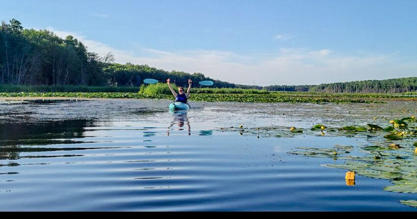 Outdoors with Ruthie: Join us in the Fairfield Swamp Wildlife Area for ...