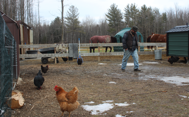 Inside Swanton’s K&S Farm meat rabbit operation | Local News ...