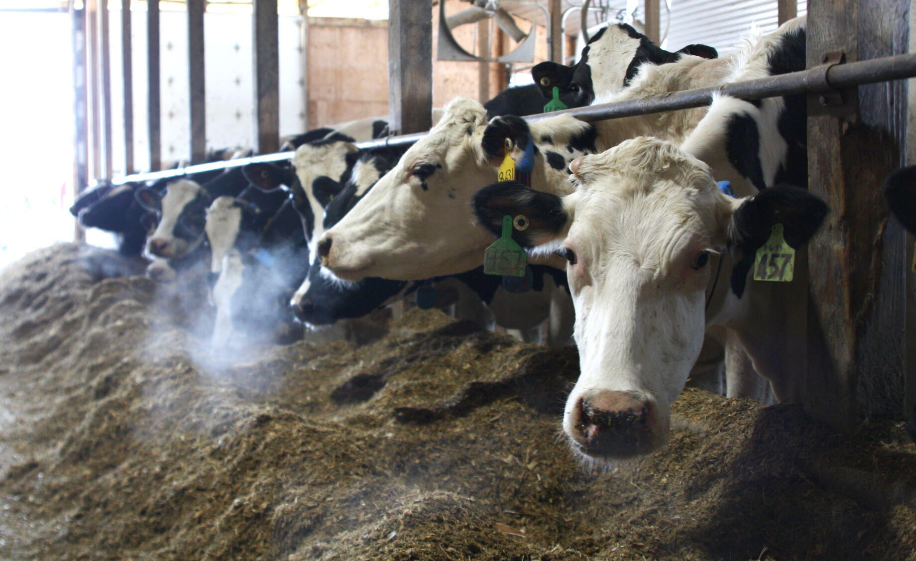 Last call for nominations for Vermont Dairy Farm of the Year award ...