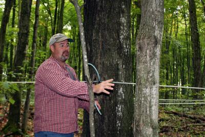 Vermont Maple 100 kicks off; Highgate's Gagne Maple to participate ...