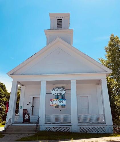 'BLOOM: The Nature of Art' opens at Montgomery Center for the Arts ...