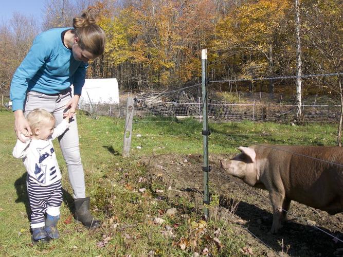 From homestead to small farm: Boneyard Farm grows in Bakersfield hills ...