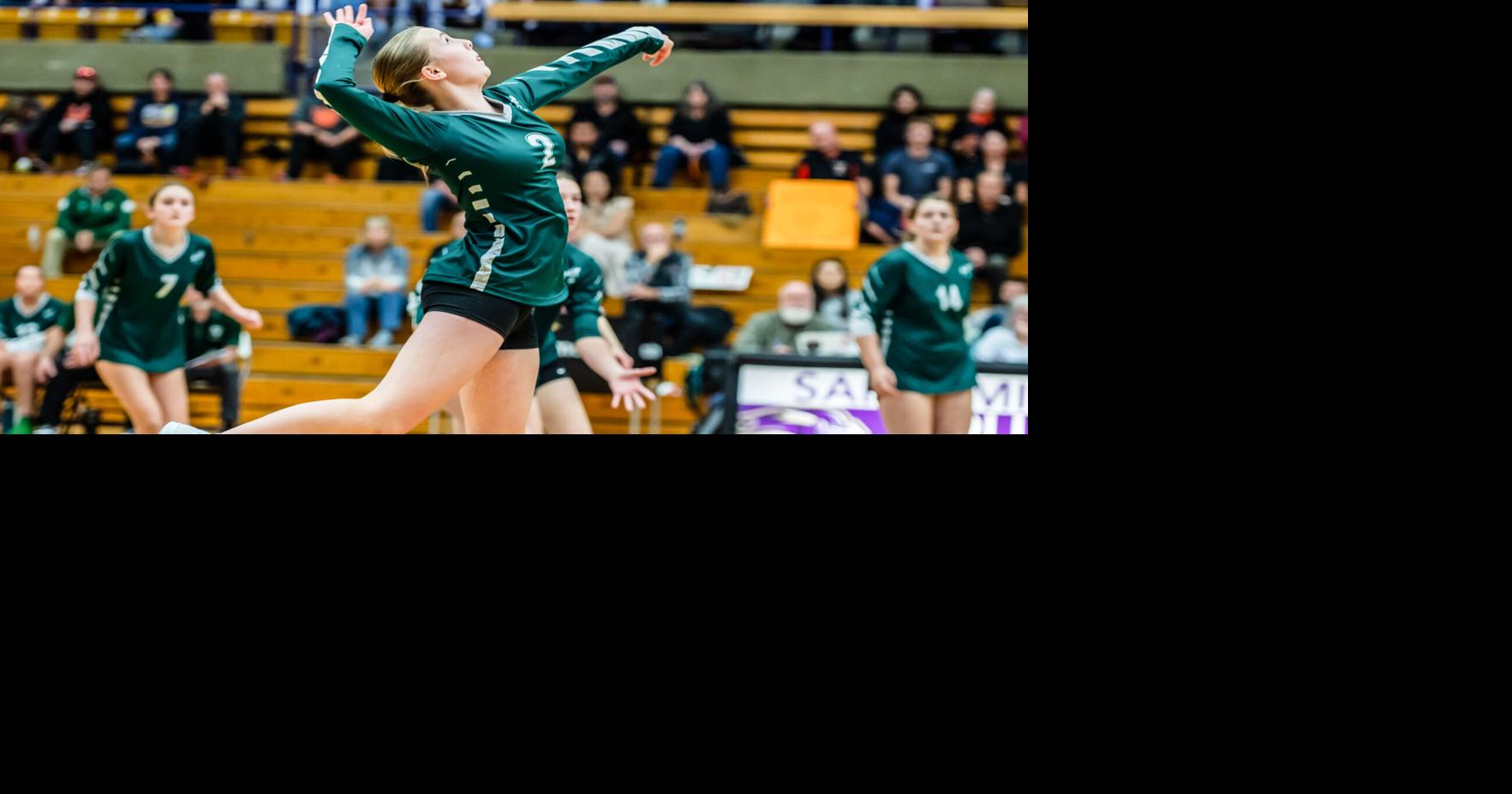 Enosburg Hornets' Colleen Robtoy shines in D2 finals | Sports ...
