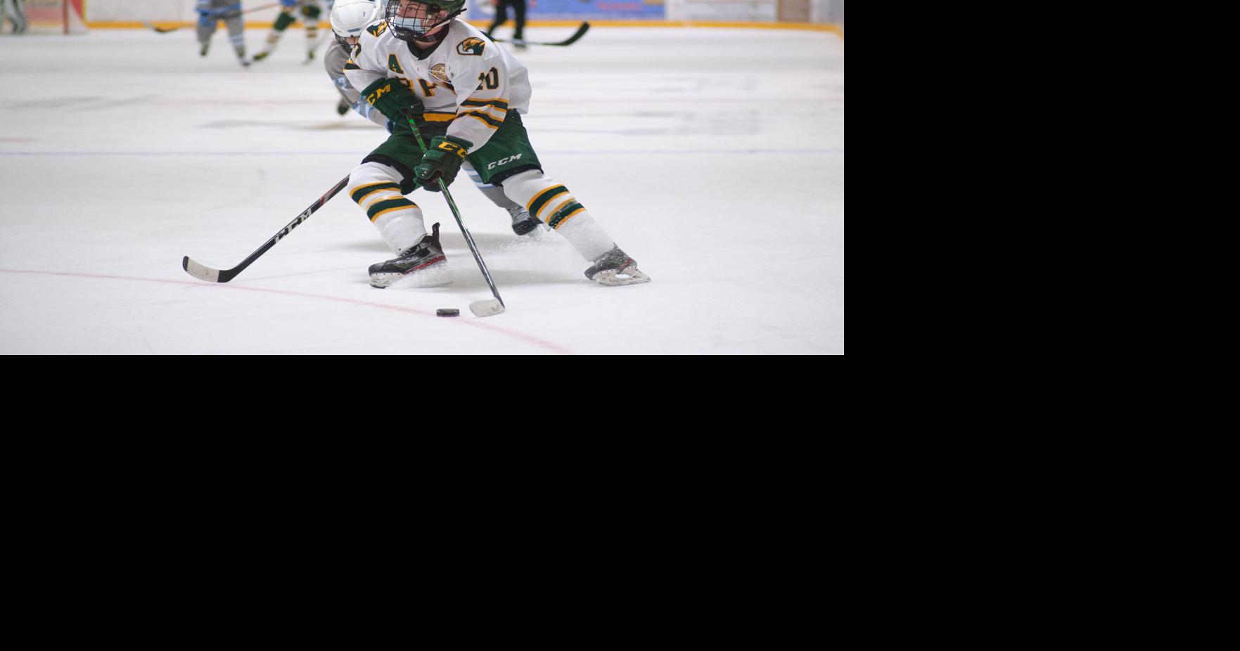 Matt Merrill and Sean Beauregard lead Bobwhites past Wolves | Sports ...