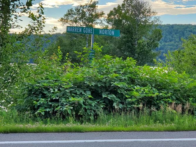 Seeing Vermont: Here are 15 photos Great Averill Pond and Norton, a ...