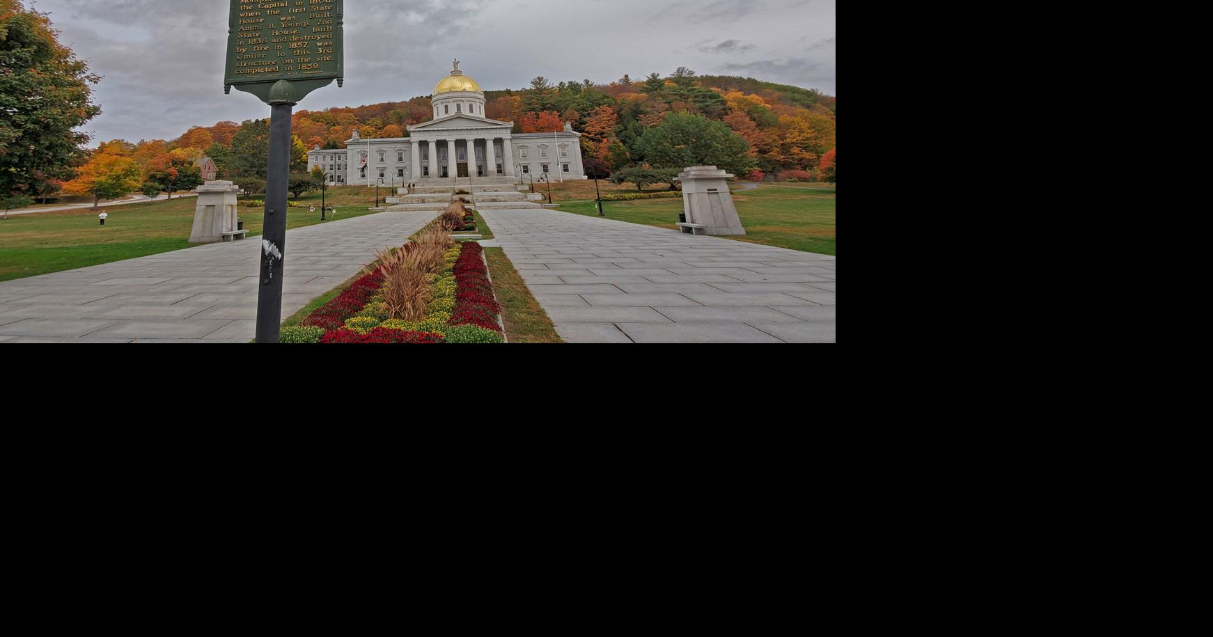 Election 2020: Republicans sweep Milton House seats, Democrats take ...