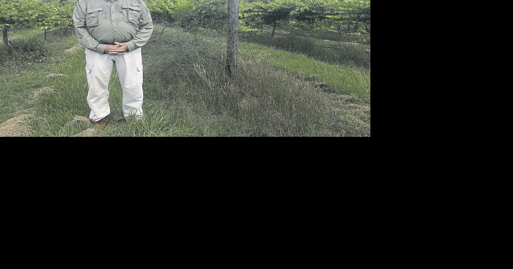 HOW DO THEY DO IT?: Griffin shares his journey on growing truffles ...