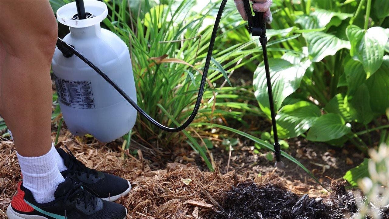 Easy spring lawn and garden updates you can do in a weekend (or less ...
