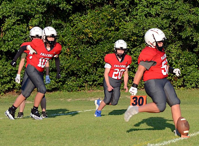 Falcons no match for Hobgood in season opener | Archives ...