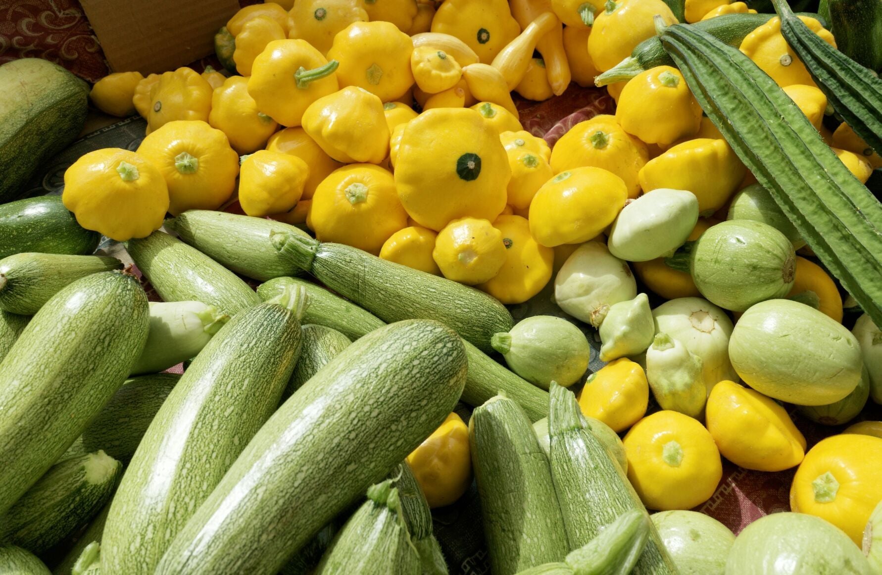 The humble squash: Ancient beginnings, incredible variety | Archives ...