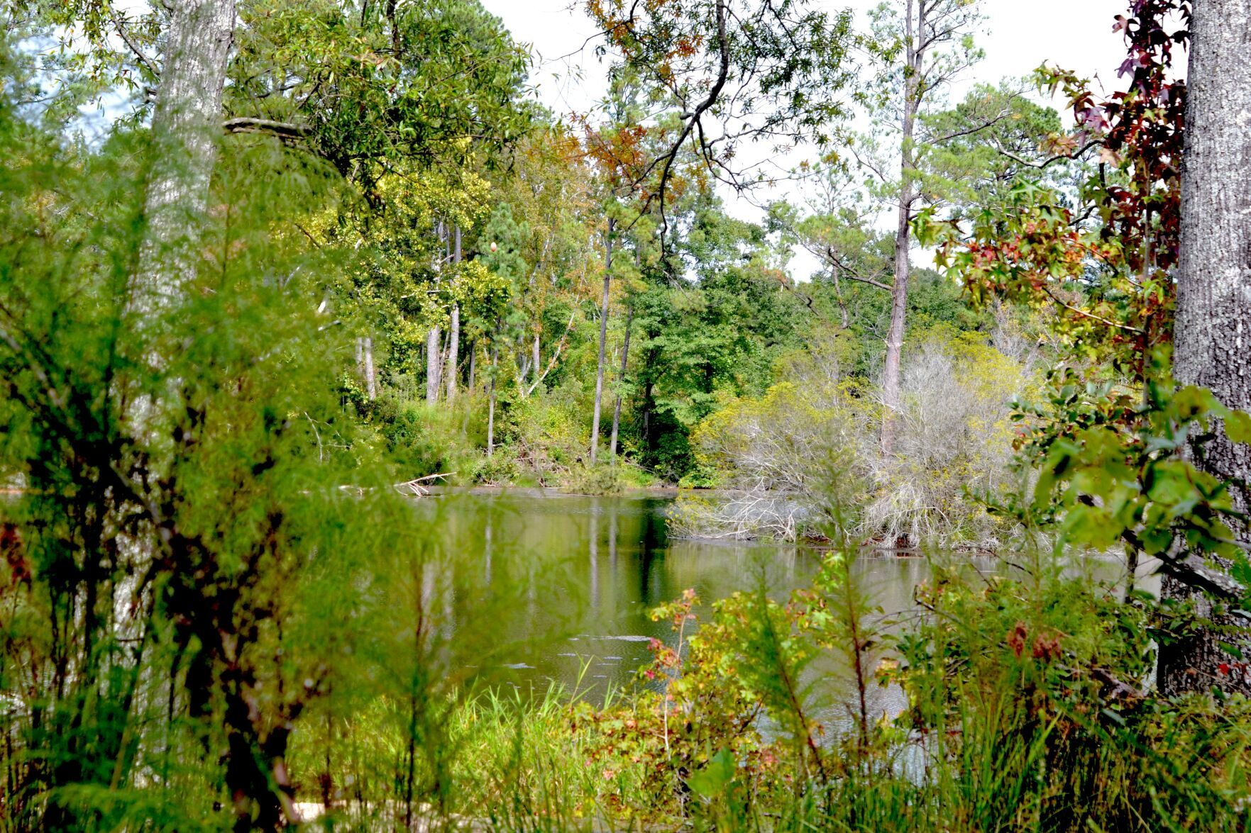 ‘Ugly duckling to beautiful swan,' recycling and waste disposal center ...