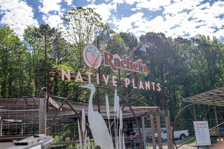 CCCC alumna runs unique nursery in Chatham County | Archives ...