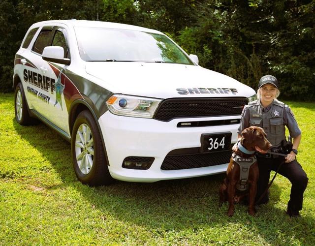 CCSO welcomes two new K9 officers | Archives | sanfordherald.com