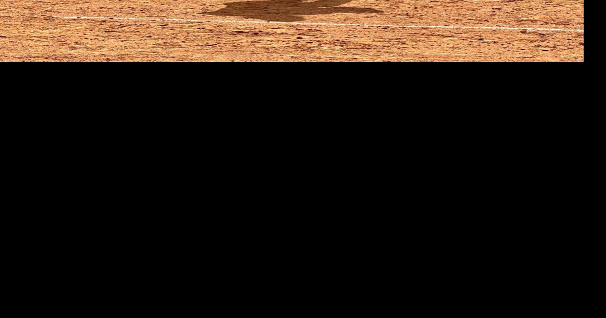 Challengers take first place in showcase | Archives | sanfordherald.com