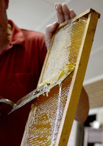 Hobby turns into 20 years of beekeeping | Archives | sanfordherald.com
