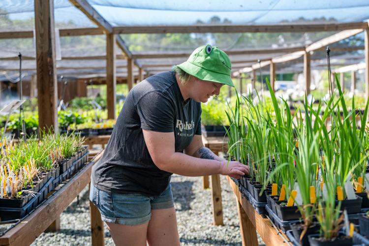 CCCC alumna runs unique nursery in Chatham County | Archives ...