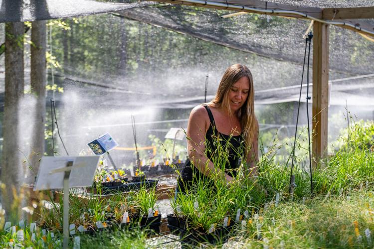 CCCC alumna runs unique nursery in Chatham County | Archives ...