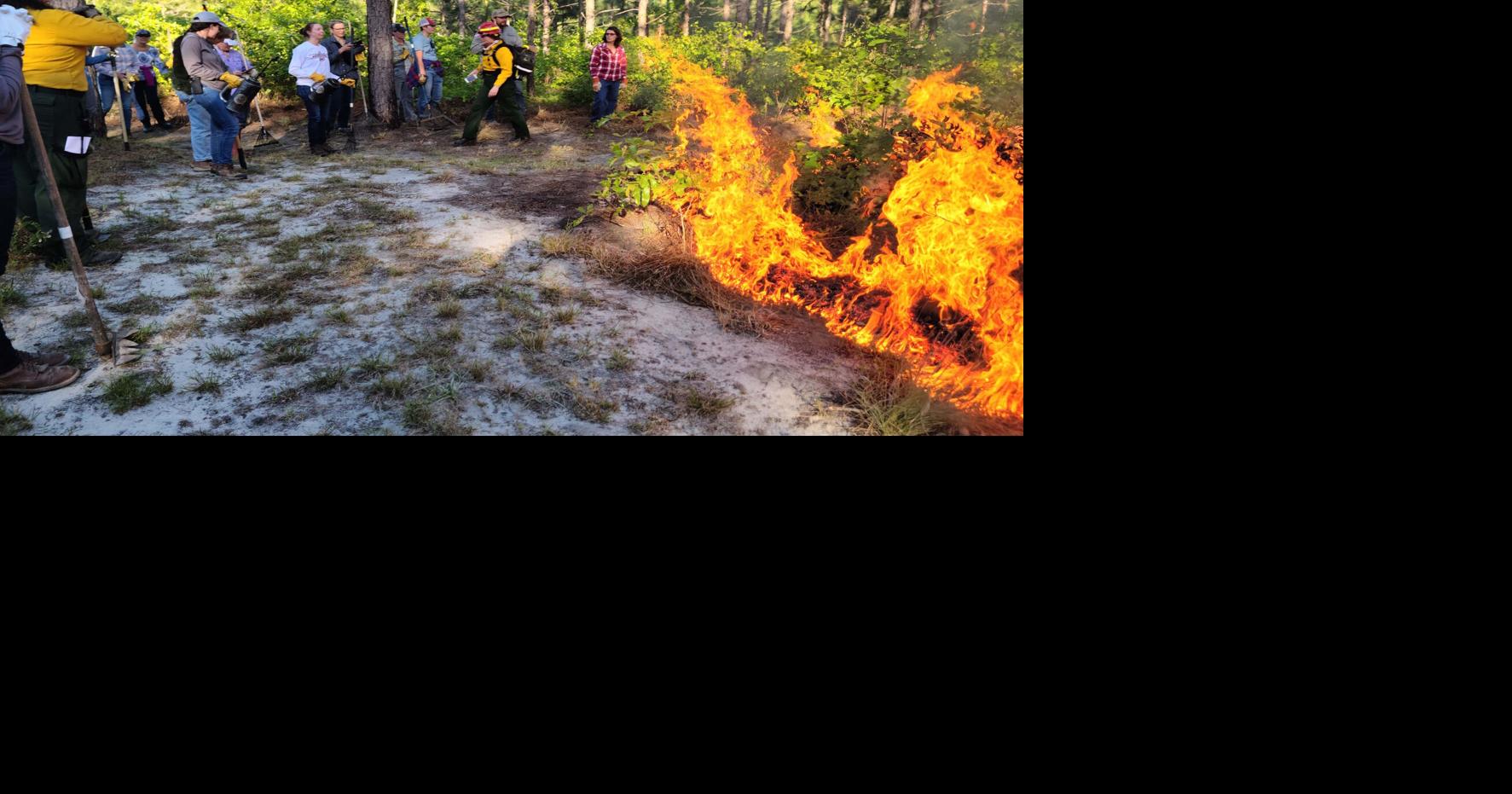 GARDEN GUIDE: Be fire wise and start with your landscaping | Archives ...