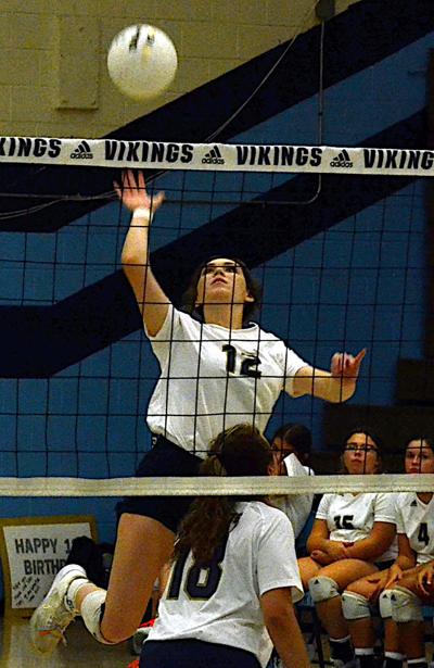 Lee, UP spikers score conference wins | Archives | sanfordherald.com