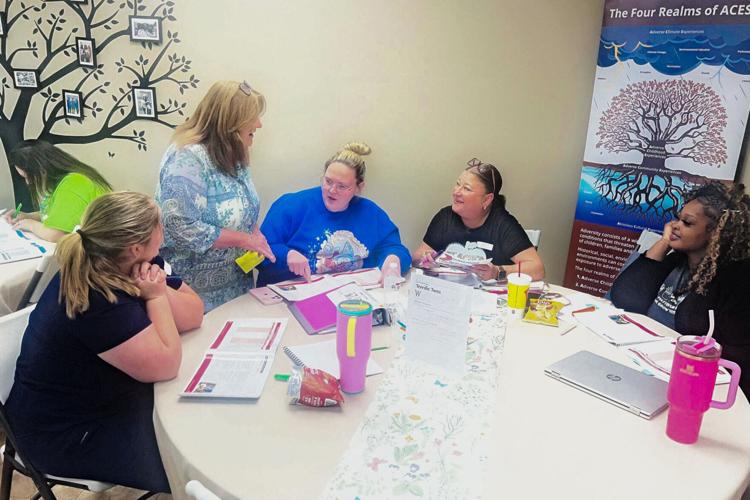 CCCC sees success with Childcare Academies | Archives | sanfordherald.com