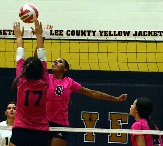 Southern sweeps Lee to end regular season | Archives | sanfordherald.com