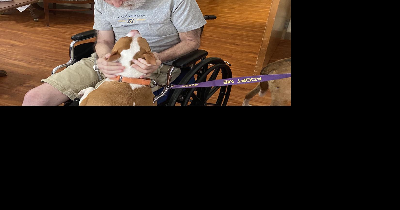 Foster pets get cuddly with residents | Archives | sanfordherald.com