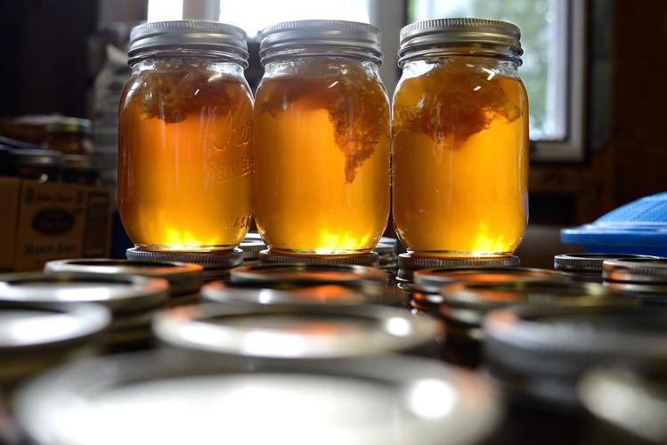 Hobby turns into 20 years of beekeeping | Archives | sanfordherald.com