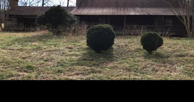 J.A. BOLTON: Swamp Fox (The Story of Henry Berry Lowry) | Archives ...
