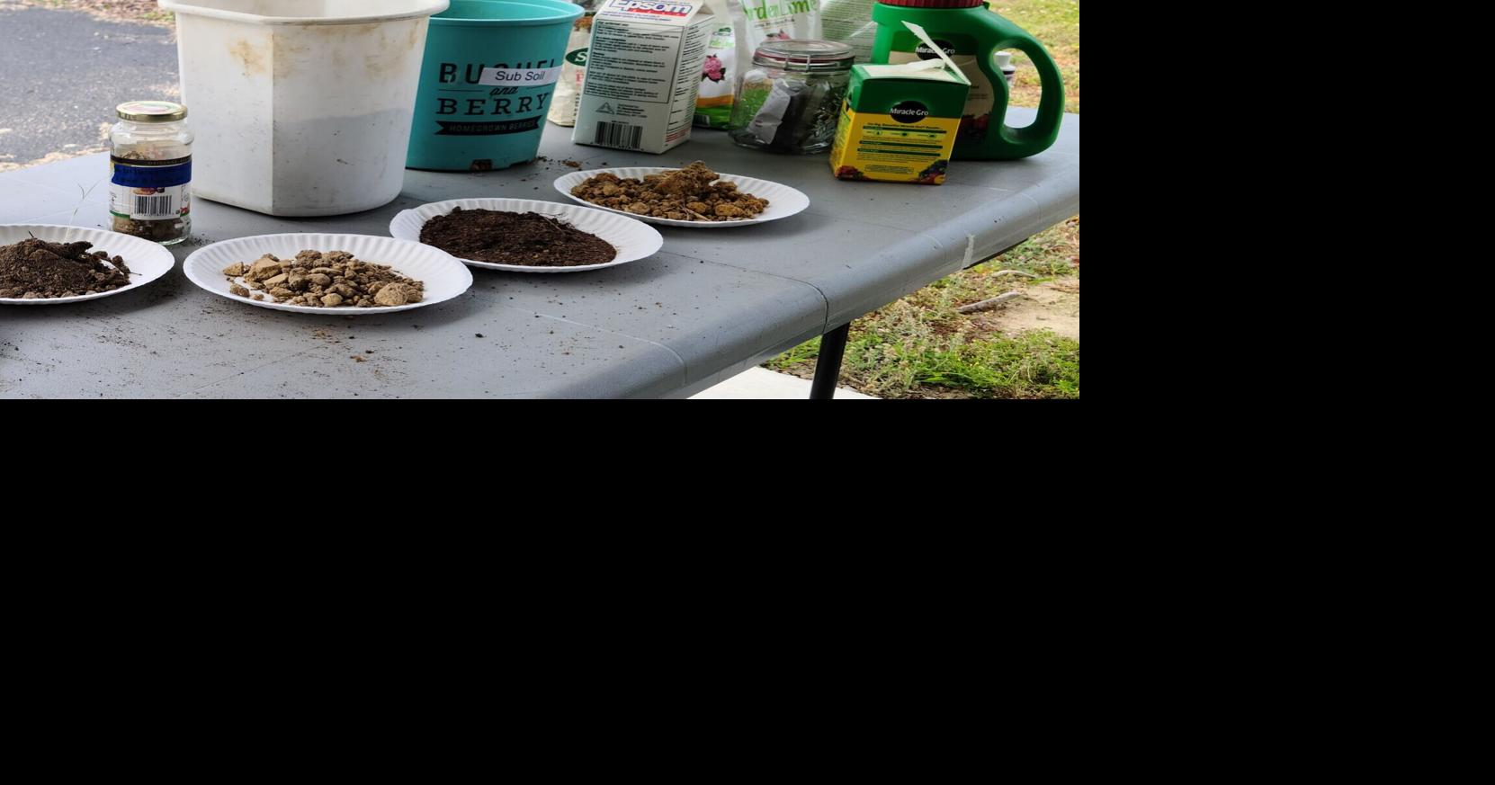 GARDEN GUIDE: Not a silver (or, well, magnesium) bullet: How to use ...