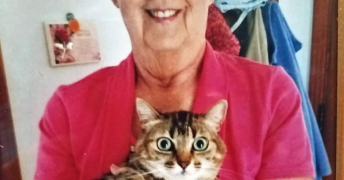 Frances Sue Patterson McKinney | Archives | sanfordherald.com