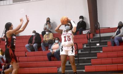 Area scores: Lady Falcons blitz conference foe | Sports | sanfordherald.com