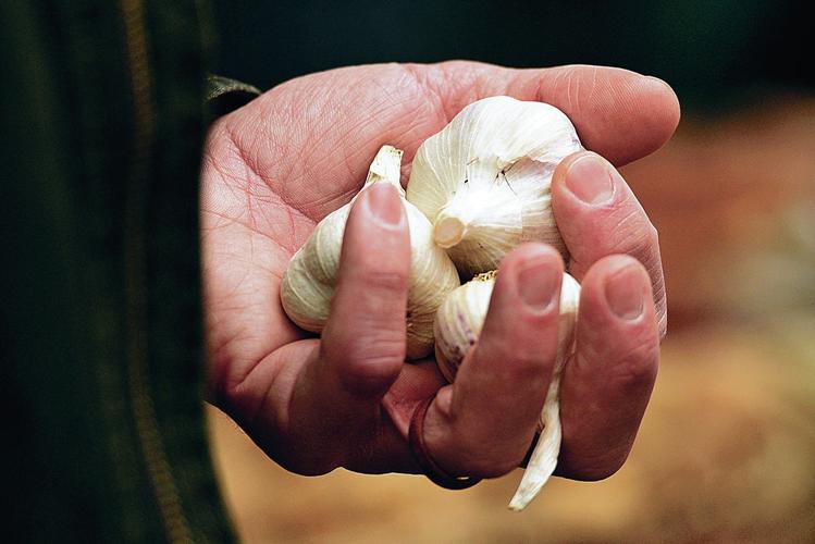 Small New Mexico farmers fight flood of cheap Chinese garlic | Local ...