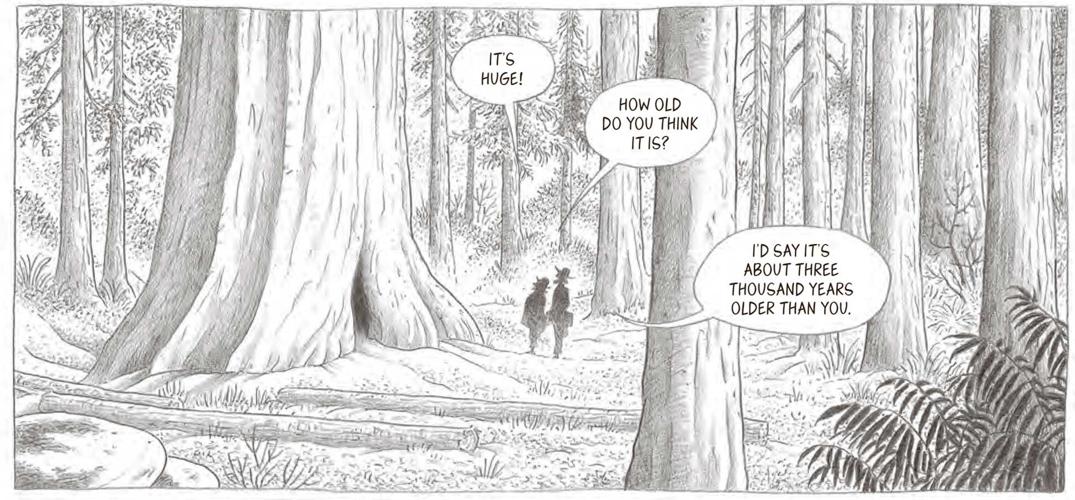 Graphic Novel Illustrates John Muir's Journey to Nature | Pasatiempo ...