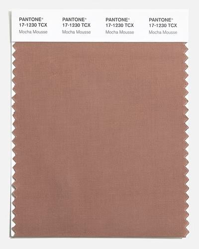 pantone-17-1230-mocha-mousse-cotton-swatch-card-6750c2509a95f.jpg ...