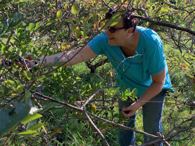 Finding your food: Ellen Zachos talks backyard foraging | Restaurants ...