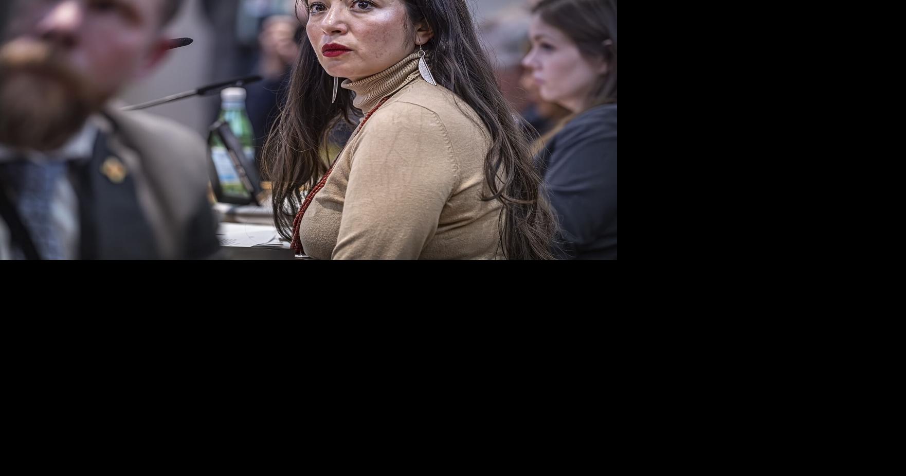 House committee moves three gun bills forward | Legislature | New ...