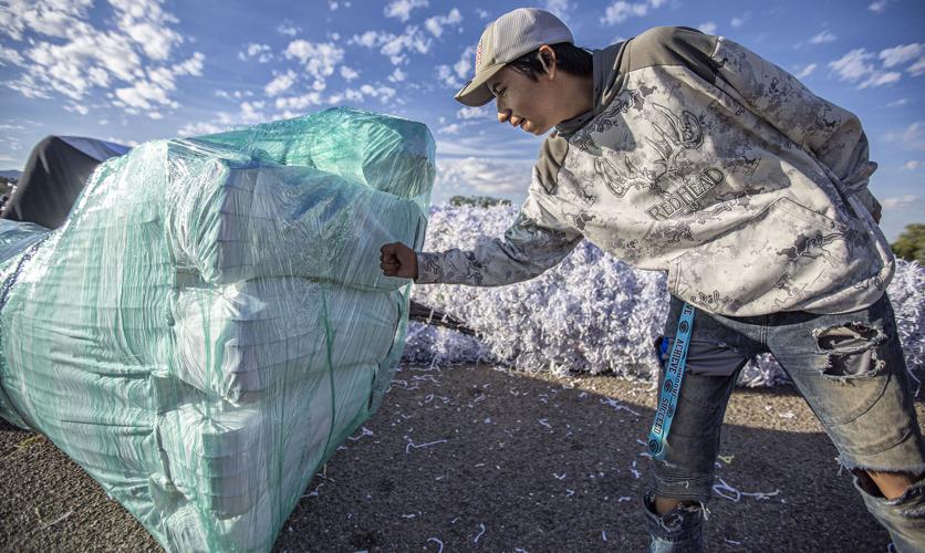 Magic of Zozobra returns for 99th year | Local News | santafenewmexican.com