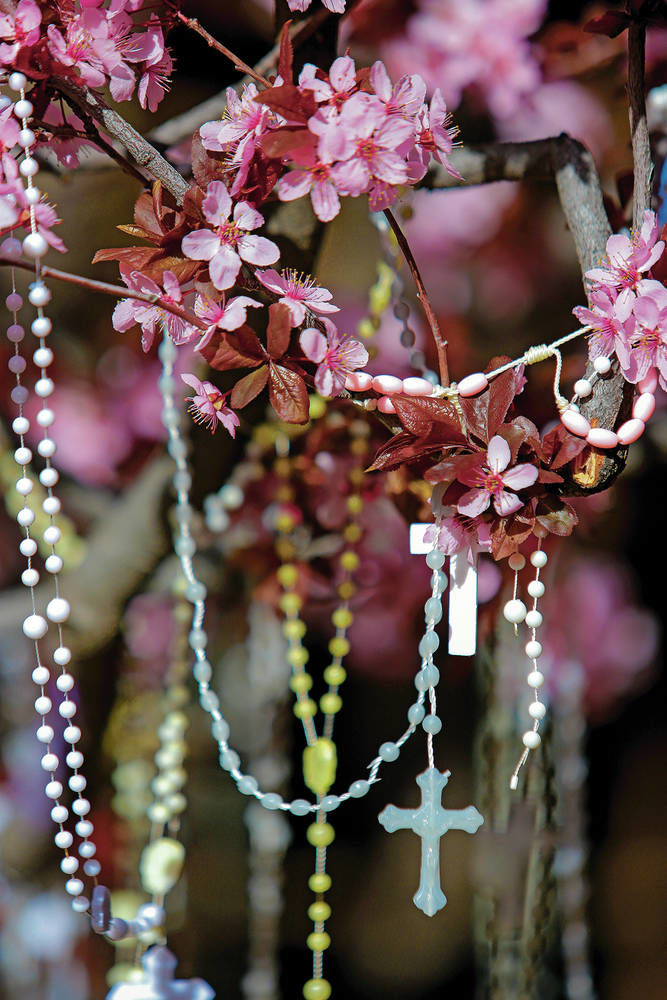 Photos: Rosaries hang from trees at Santa Fe’s Loretto Chapel | Local ...