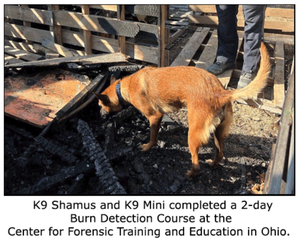Cadaver dogs and drones: Records show scope of search at Zorro Ranch ...