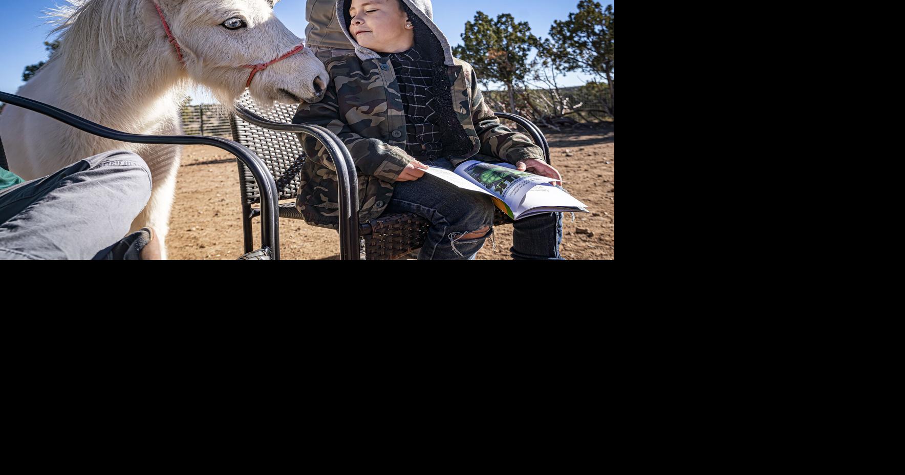 My Little Horse Listener brings deaf kids, horses together | Local News ...