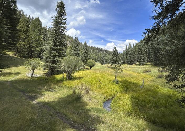 Serene Jemez Mountains hike along Rio Cebolla shows returns of ...