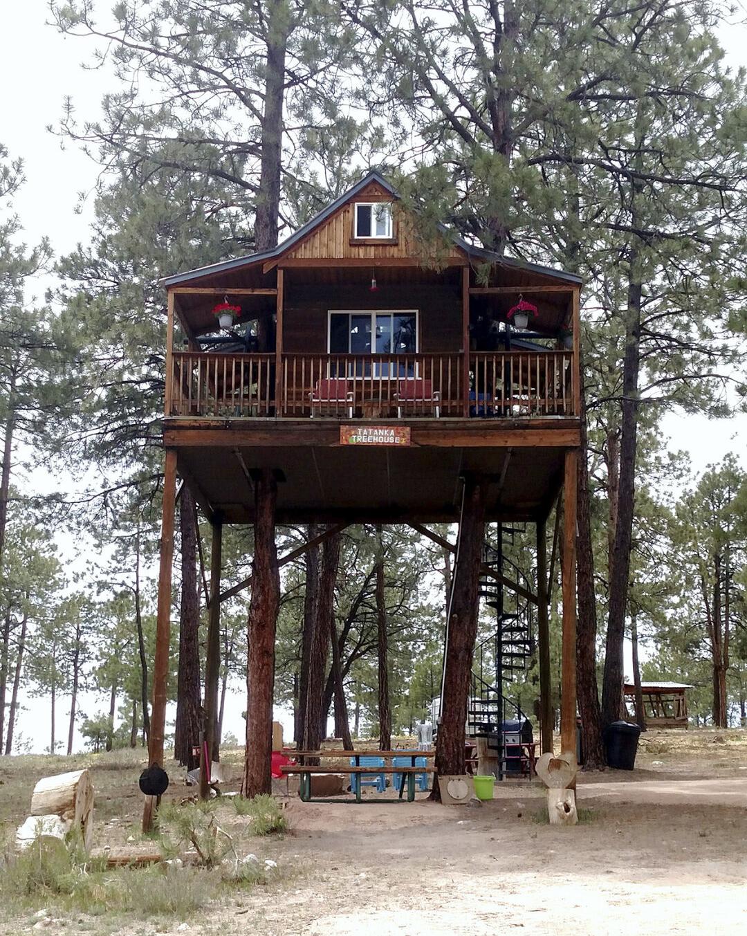 Los Angeles woman sues, claims bison gored her at Truchas tree house ...
