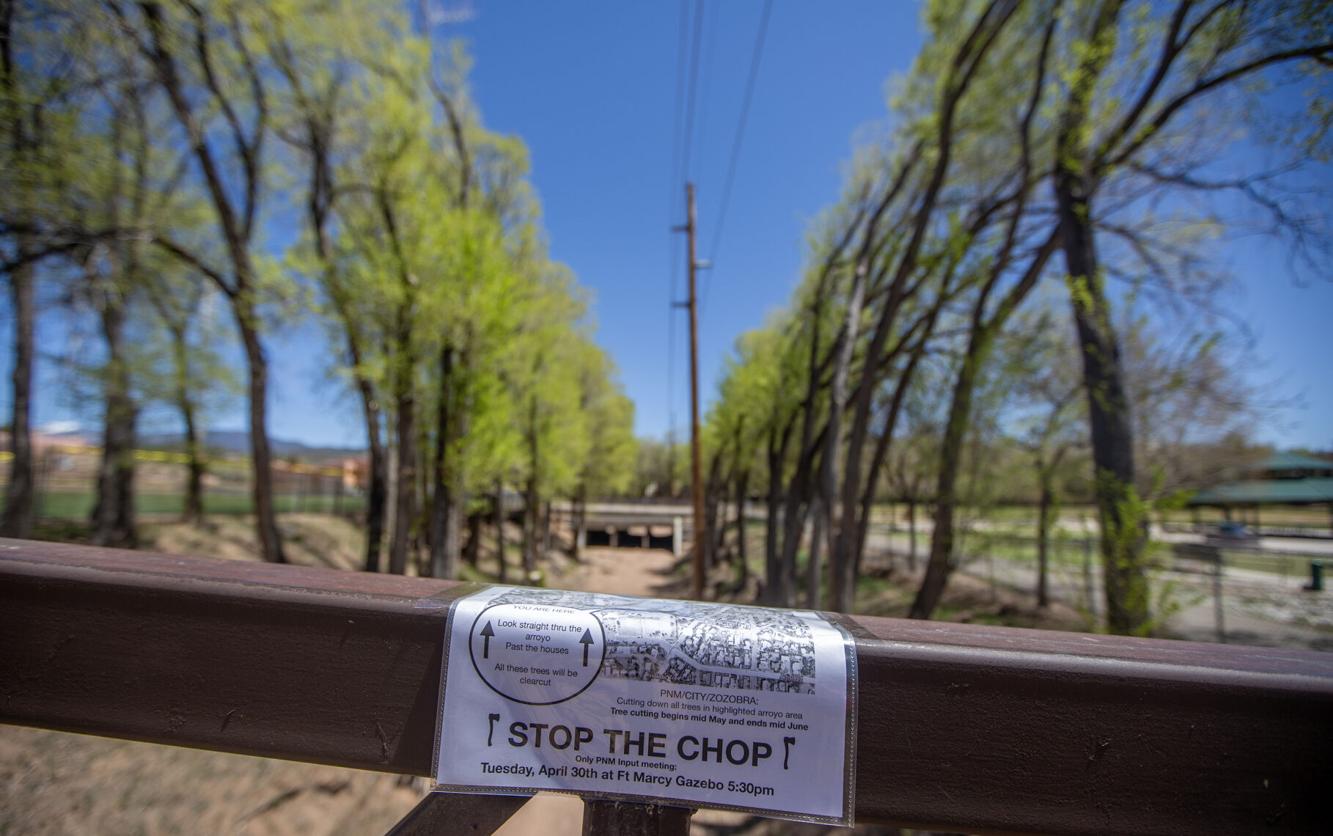 Enjoy the shade: PNM drops tree-cutting plan | Local News ...