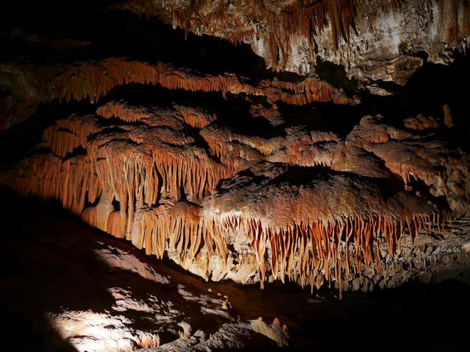 Exploration of Fort Stanton Cave continues to yield captivating ...