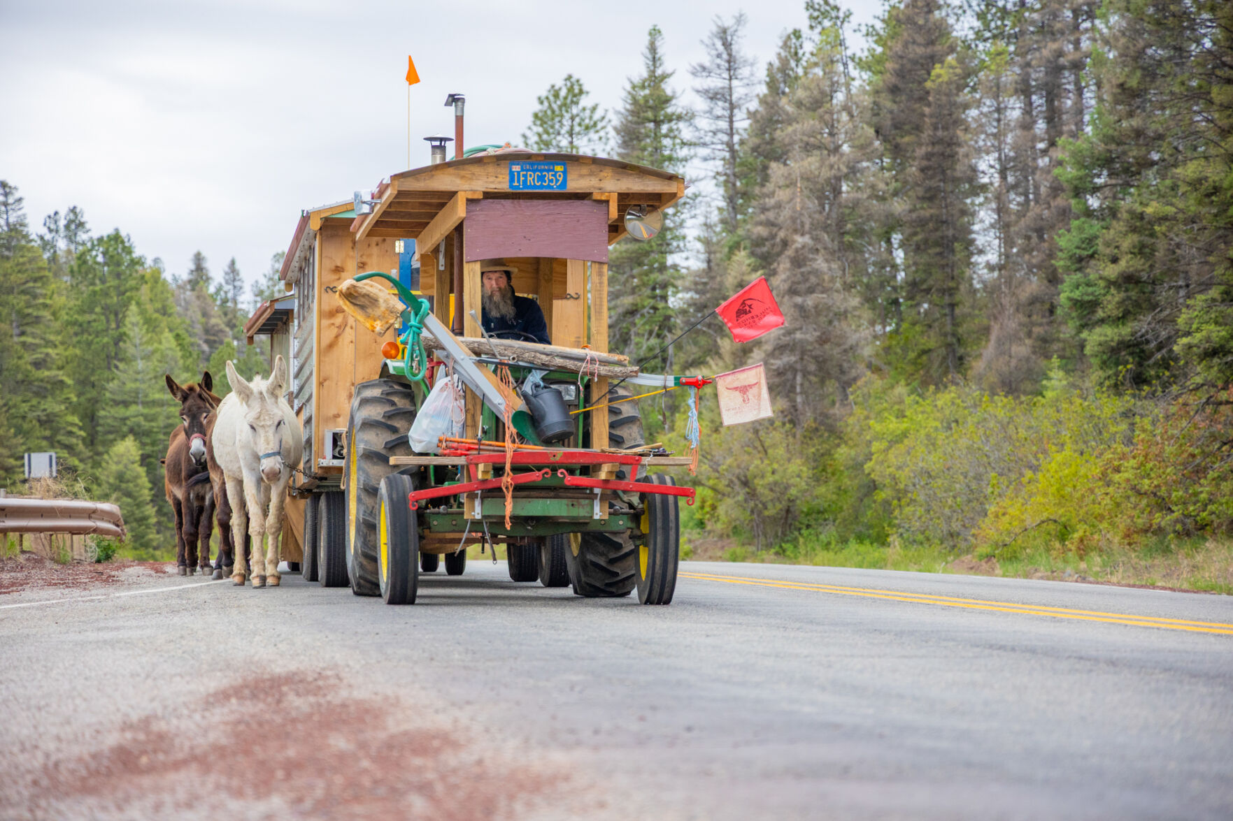 Missouri to Taos at a donkey's pace: Self-reliant trekker blazes own ...