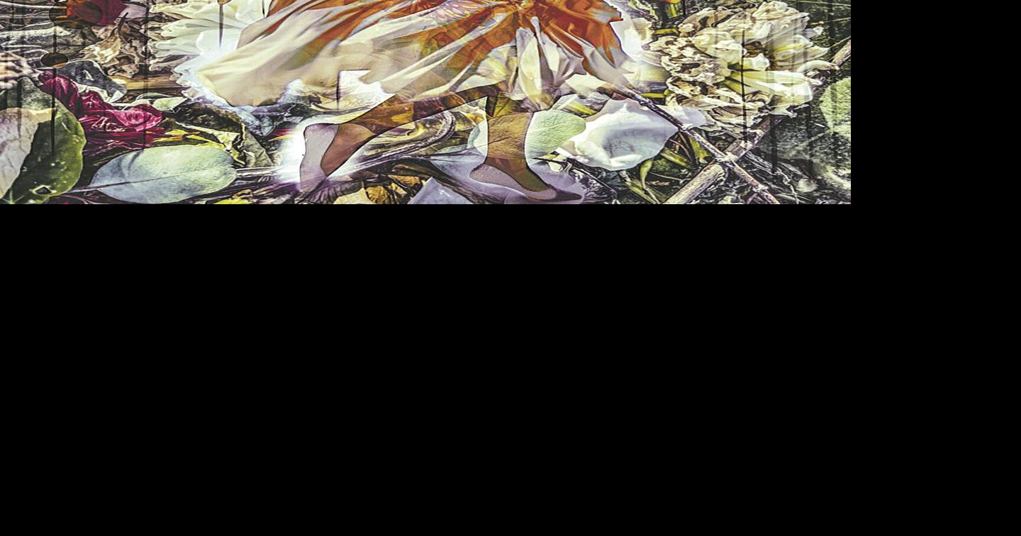 'Seeking the Magic' by Diane G. Rolnick | Pasatiempo ...