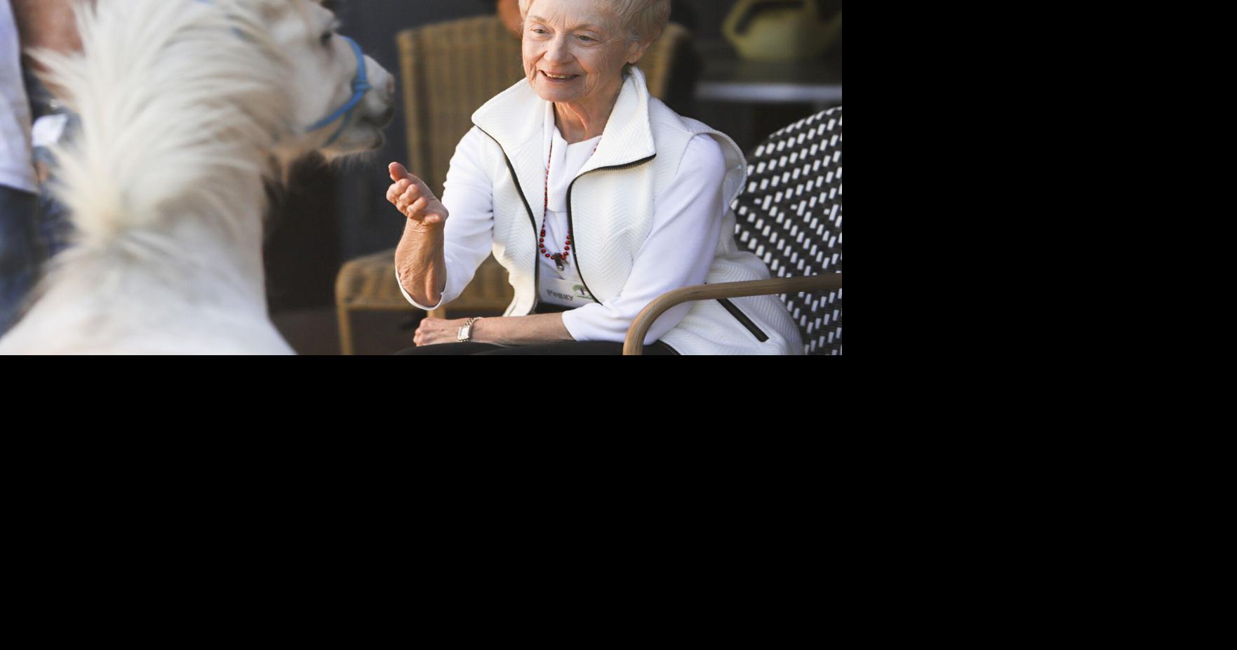Mane event: Miniature horses bring smiles and memories to seniors with ...